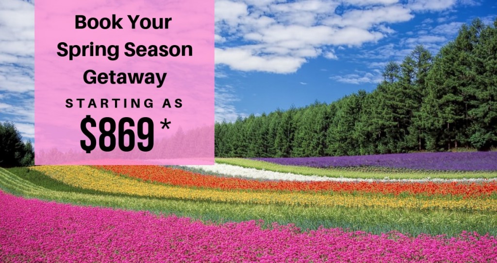 Cheap Flights To Japan- Great Spring Season Getaway- TravelGuzs