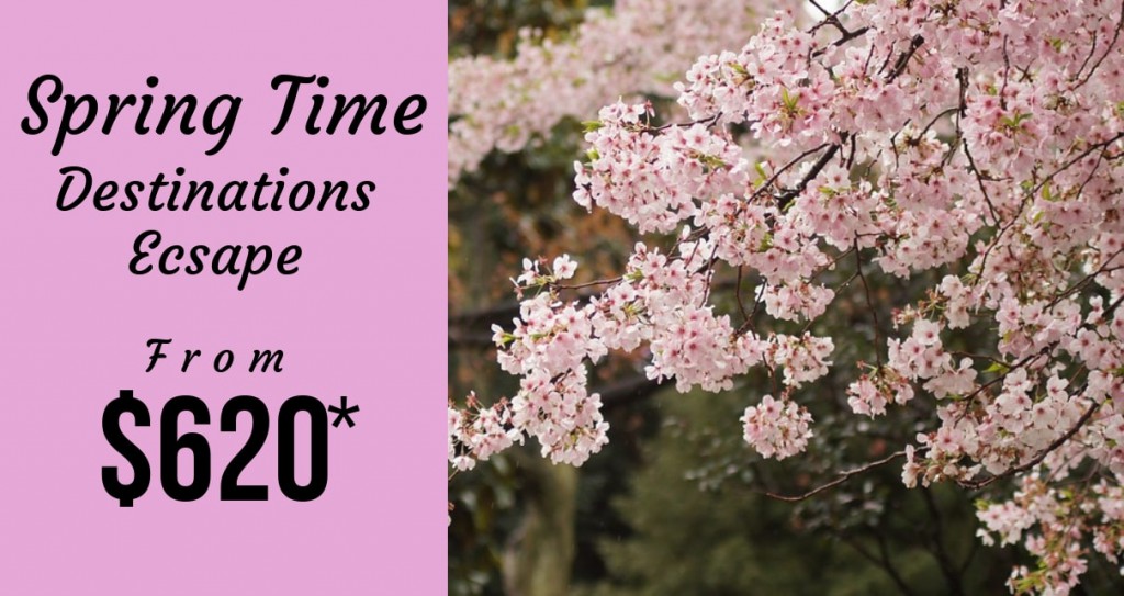 Spring Special- Cheap Economy Flight Tickets At Qatar Airways